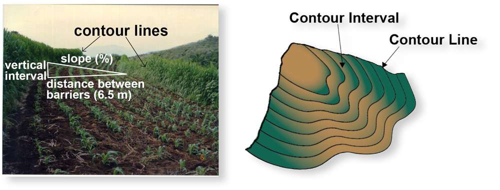 Contour Cultivation and Live Barriers for Small-Scale Farmers ...